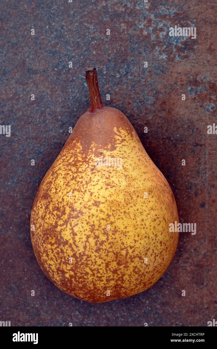 Single yellow and golden Rocha pear lying on brown sandstone Stock ...