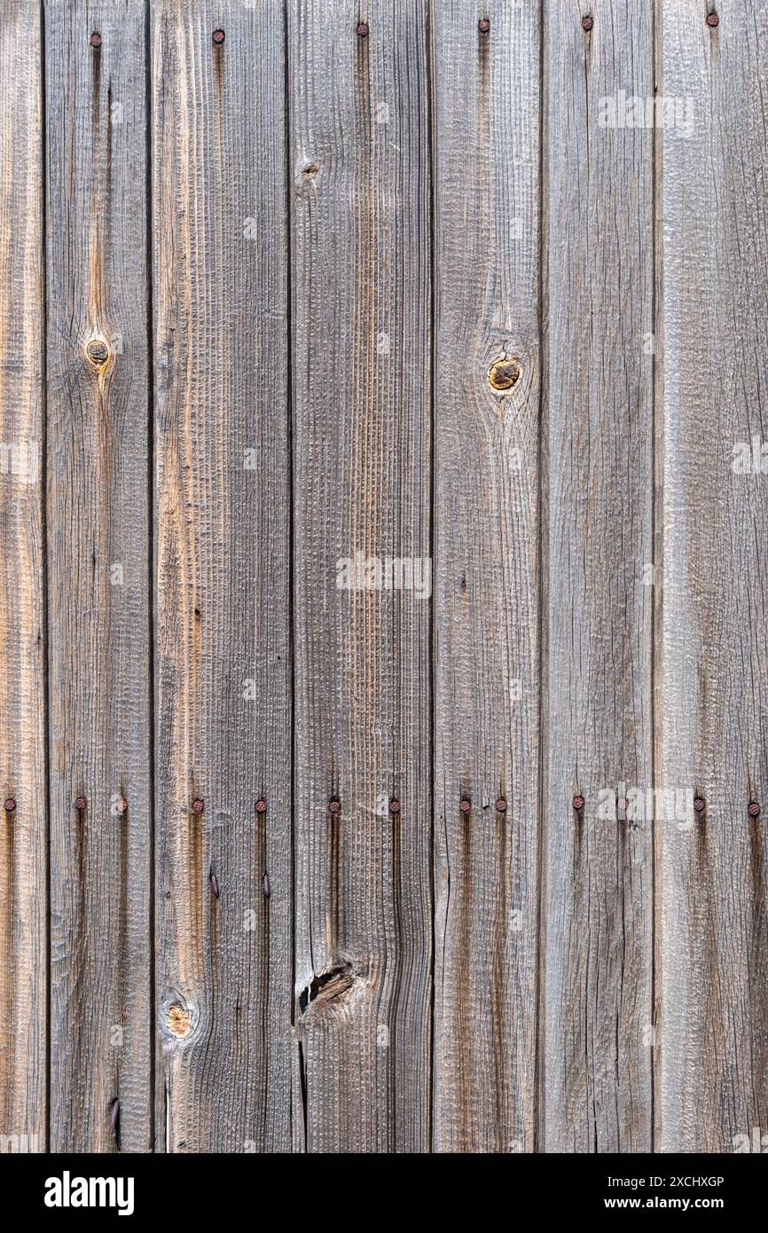 Background from untreated wooden planks. Wood texture for your photos ...