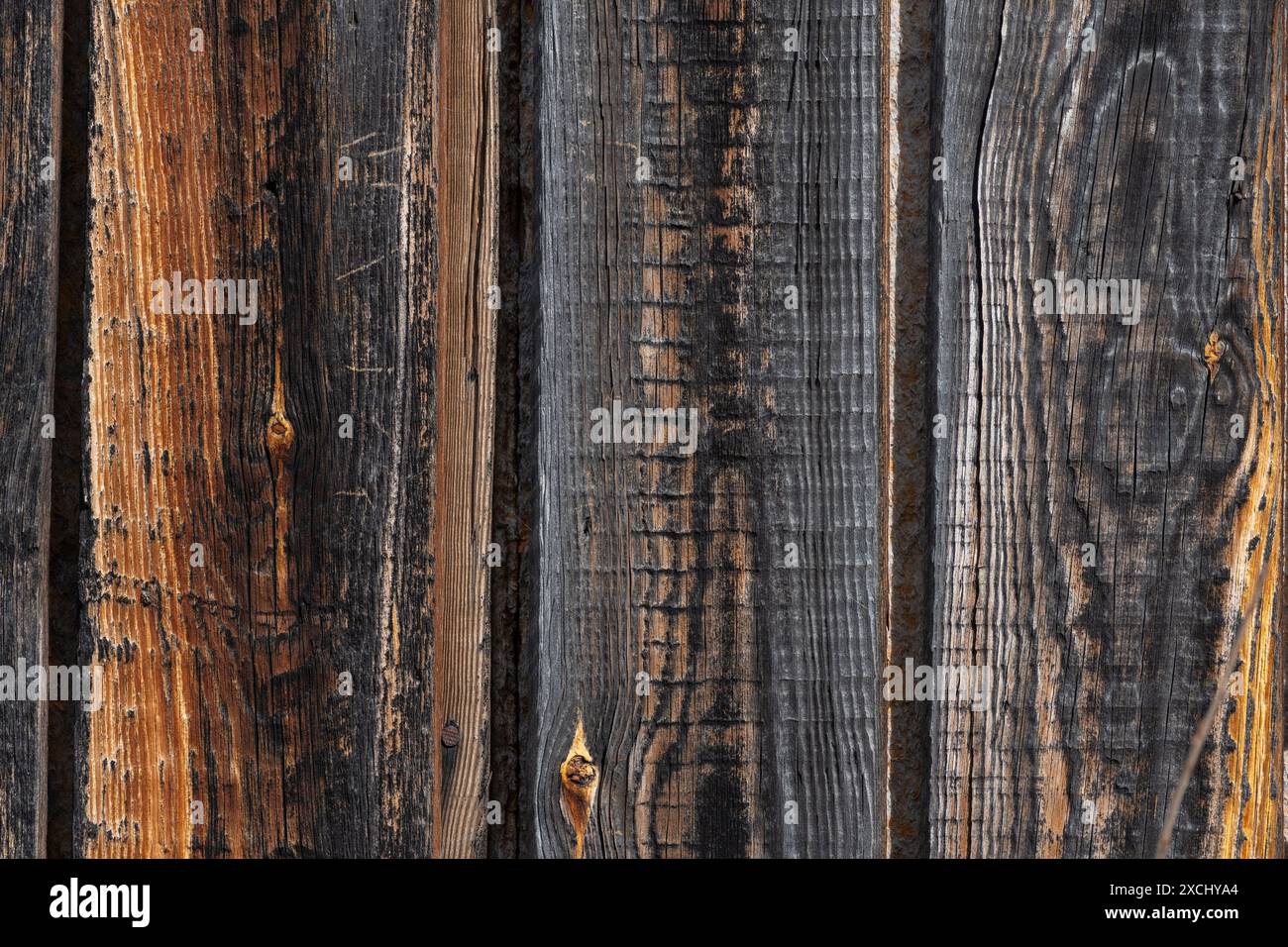 Background from untreated wooden planks. Wood texture for your photos ...