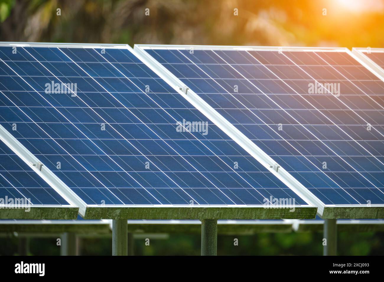 Solar photovoltaic panels mounted on stand-alone frame on backyard ...