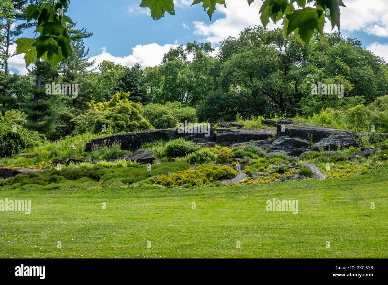 Schist rock landscaping hi-res stock photography and images - Alamy