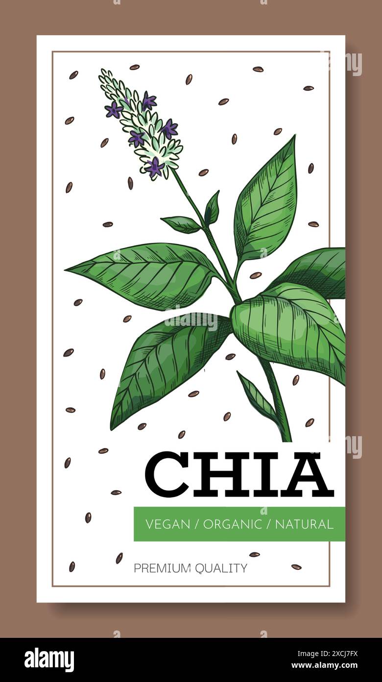 Chia card. Natural food product. Vegan diet ingredient. Organic ...
