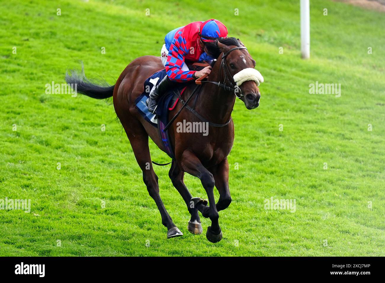 File photo dated 16-05-2024 of Big Evs, who provided Mick Appleby with ...