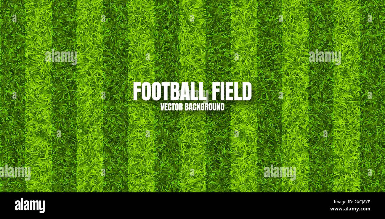 Soccer playing field with green grass. Football pitch background with ...