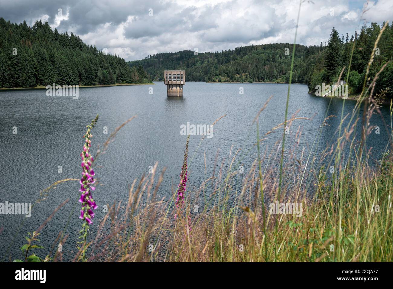 Nordhalben, Germany. 17th June, 2024. View of the Mauthaus dam. The ...
