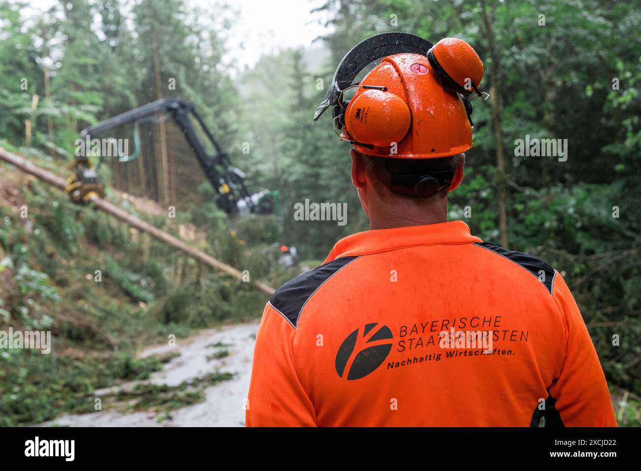 Steinwiesen, Germany. 17th June, 2024. An employee of the Bavarian ...