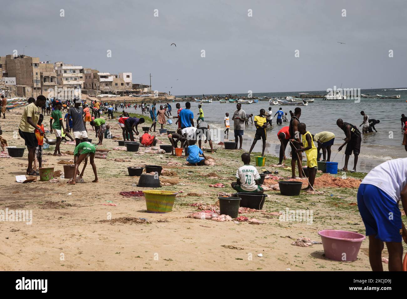 Nicolas Remene / Le Pictorium - Tabaski Day in Dakar - 17/06/2024 ...