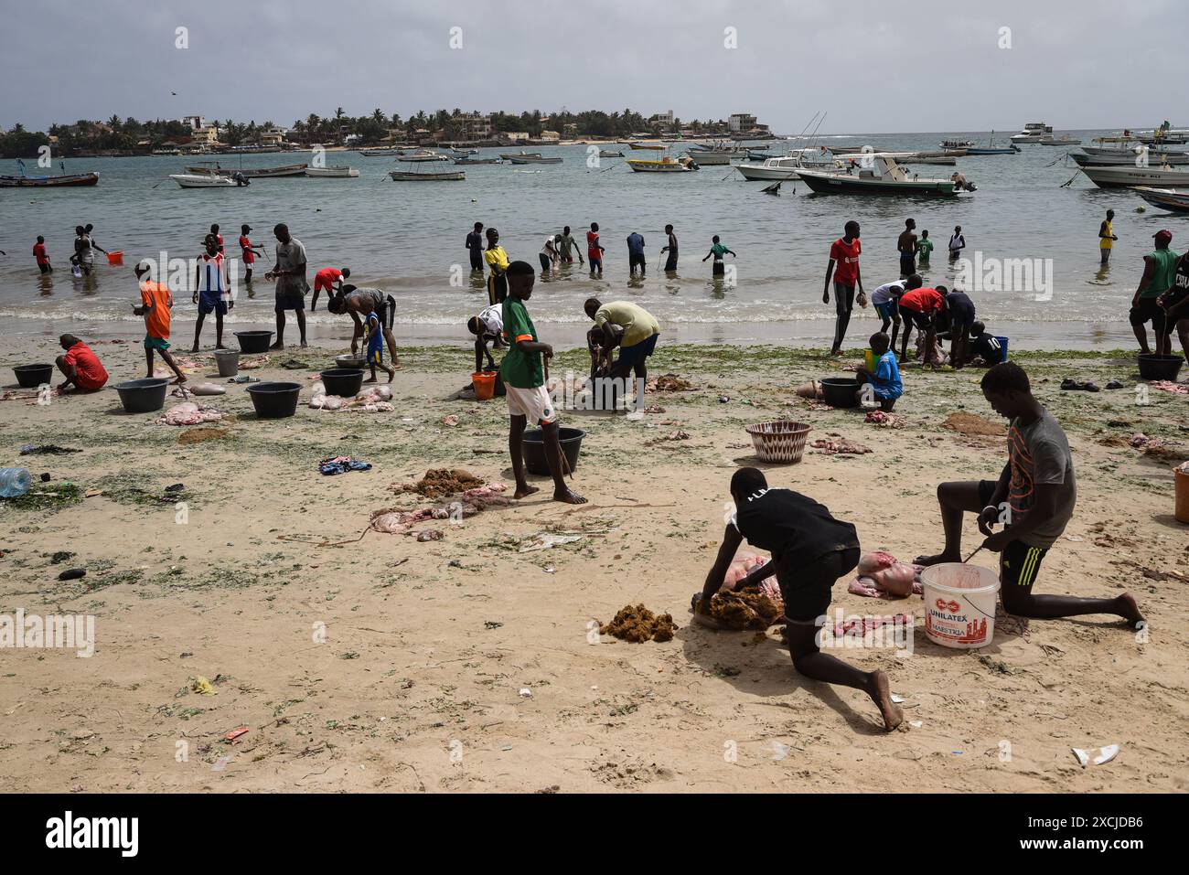 Dakar, Senegal. 17th June, 2024. Nicolas Remene/Le Pictorium - Tabaski ...