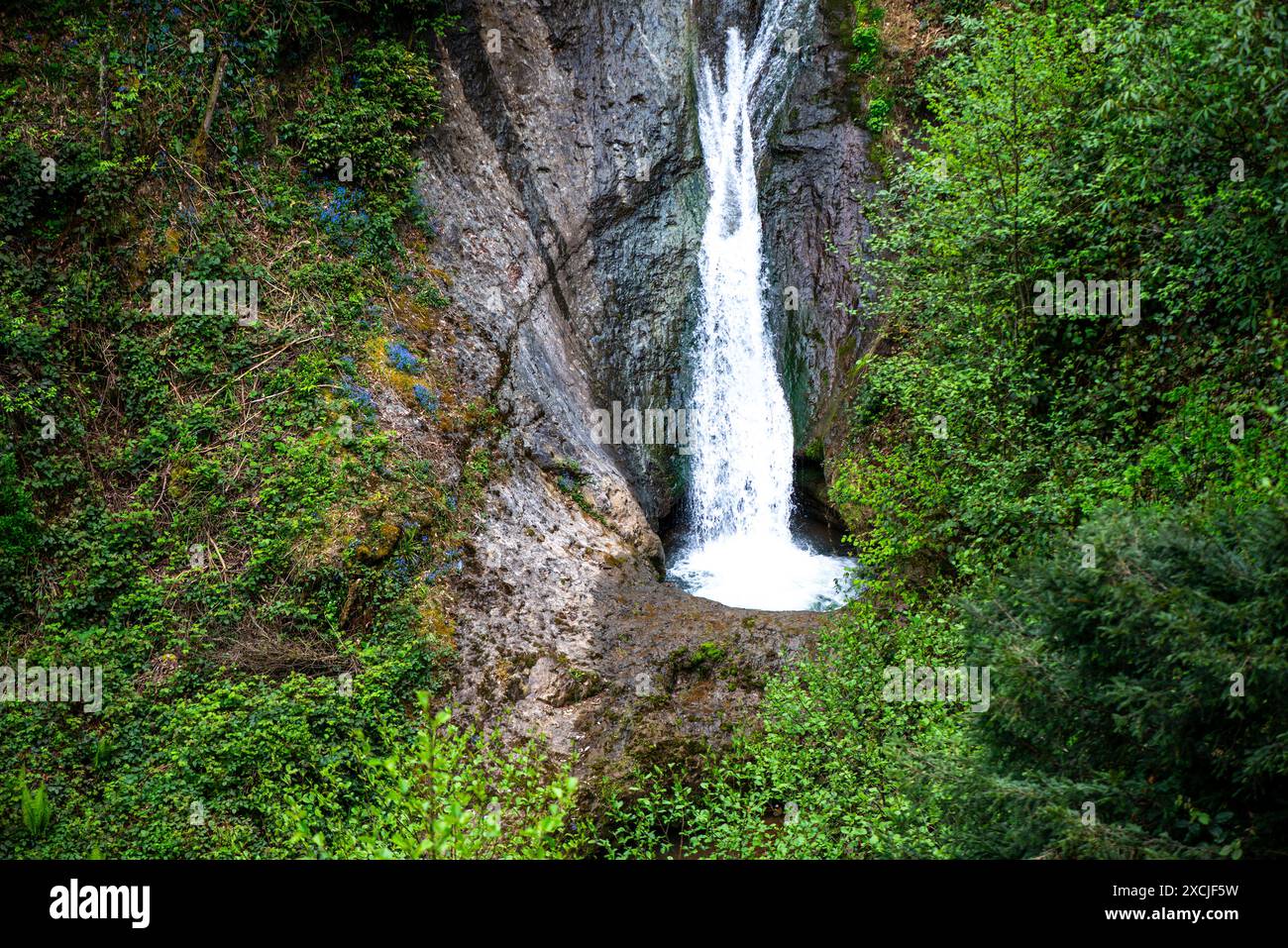 A scenic waterfall cascading along the rocks in a lush forest, creating ...