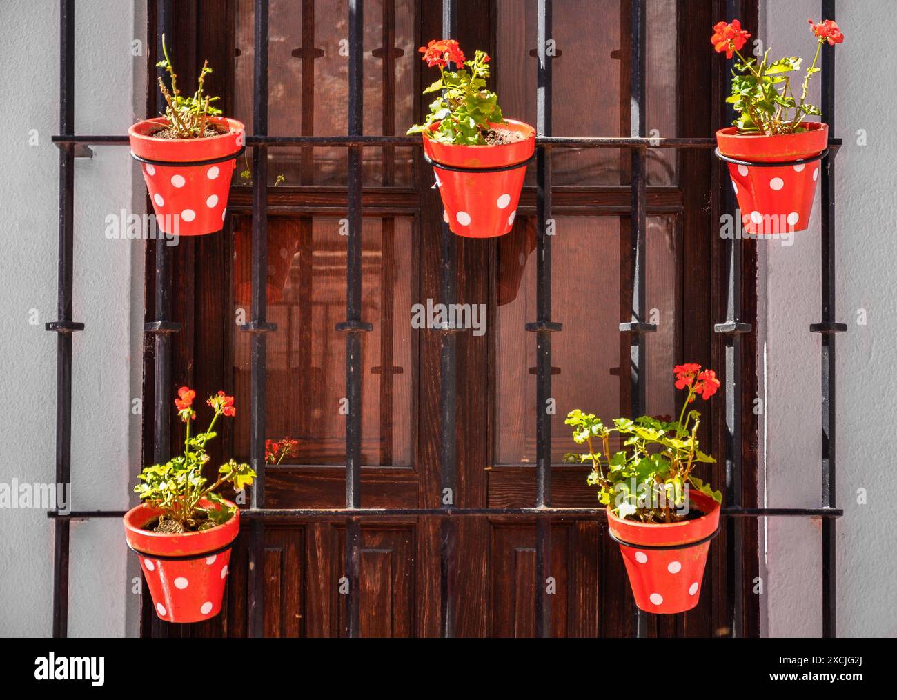 Charming Spanish Window Grille: Red Pots with White Polka Dots in Arcos ...