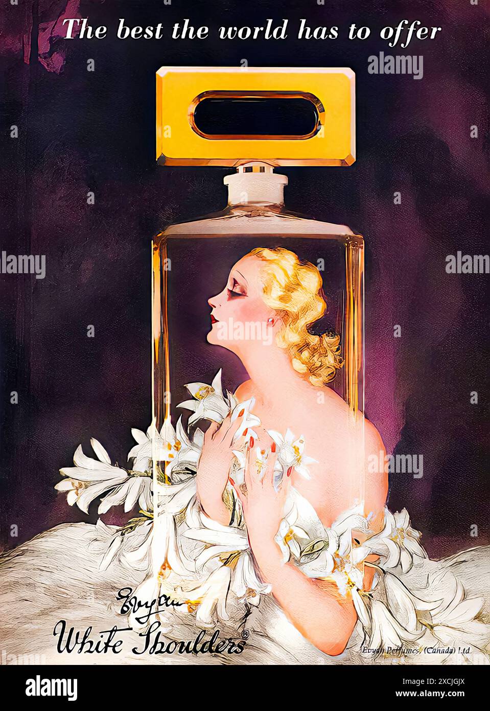 Ad for Evyan White Shoulders. - Vintage Advertising Print Poster Stock ...