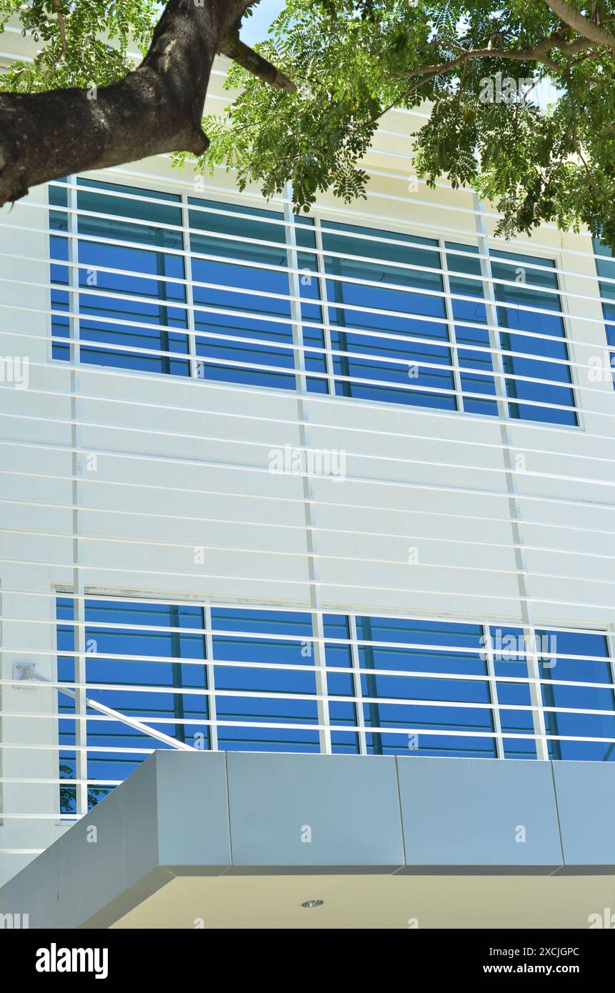 Minimalist window facades in a modern building with tree frames outside ...