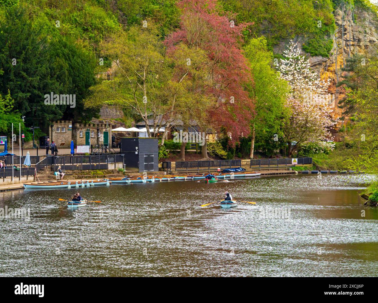 Tourists in rowing boats on the River Nidd in Knaresborough North ...