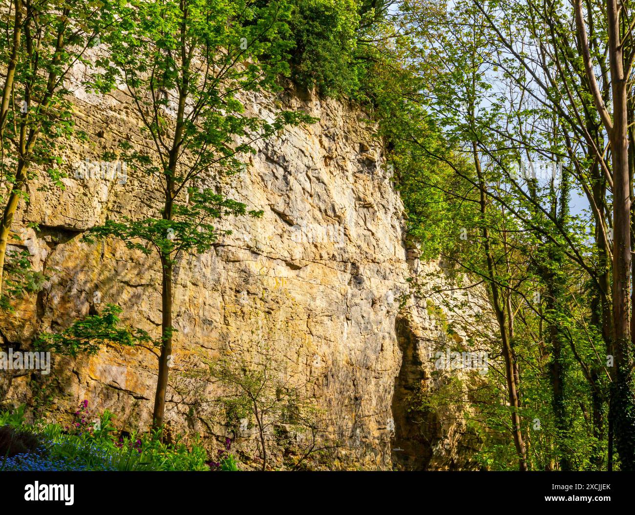 Sandstone cliffs next to the River Nidd in the Waterside area of ...