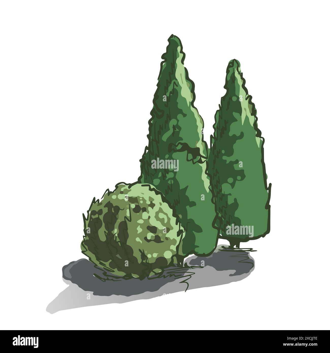 Groups of trees sketch in color. Hand drawing. isolated on white ...