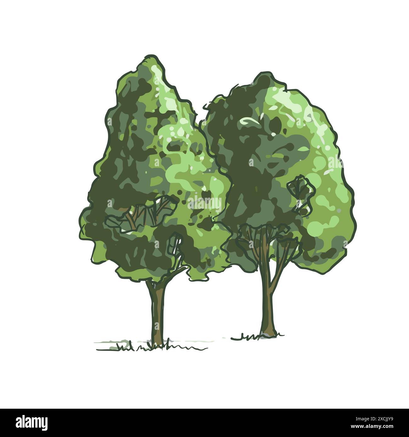 Groups of trees sketch in color. Hand drawing. isolated on white ...