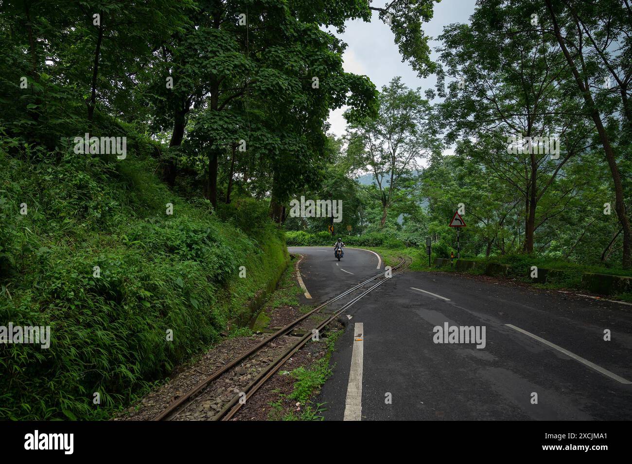 Toy train line, narrow gauge train line passing through Himalayan ...
