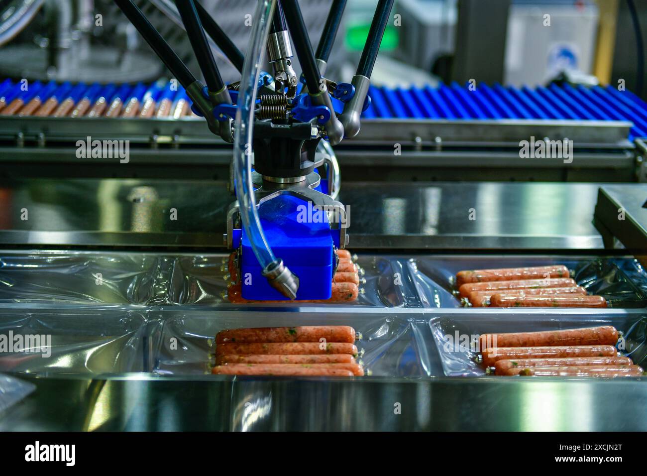 High-performance machines are wrapping processed fresh food products sausages. food production ...