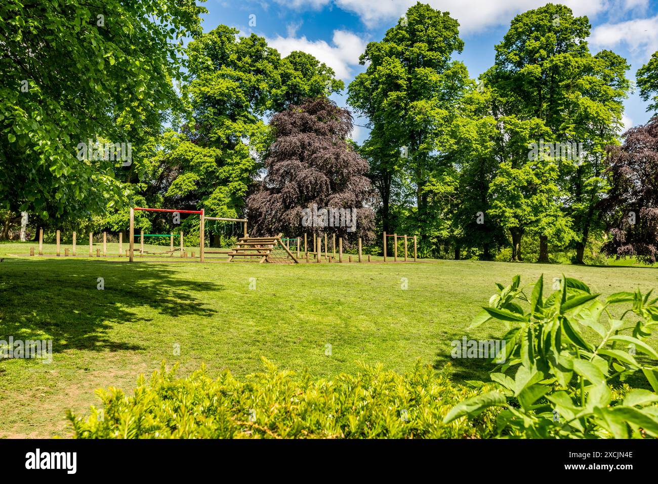 Abington Park, England, United Kingdom, UK. Travel, trees in the park ...