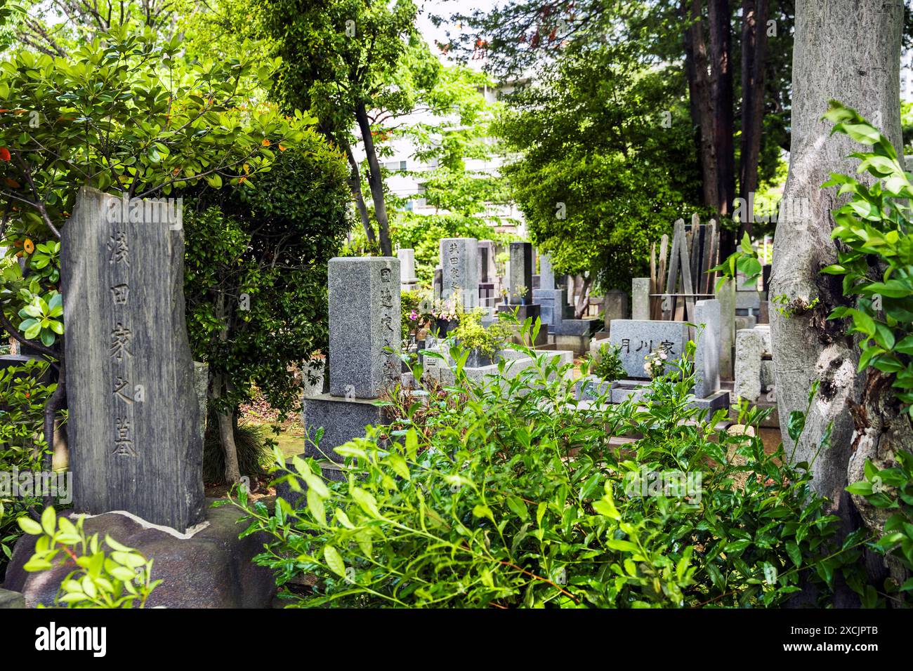 The Zoshigaya Cemetery, a public graveyard in Minami-Ikebukuro, Toshima ...