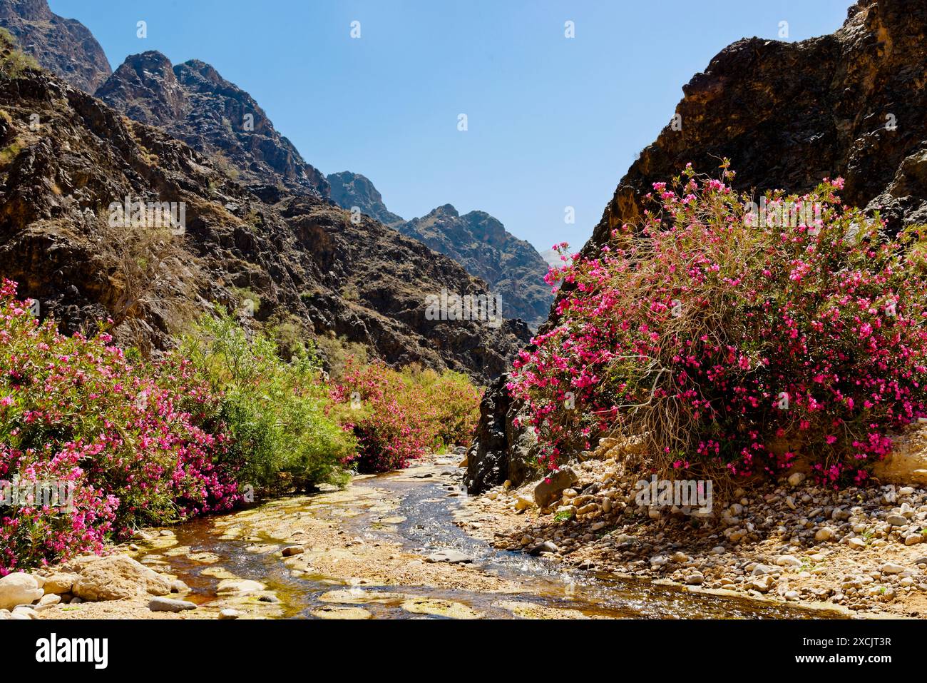 Landscape river in east hi-res stock photography and images - Alamy