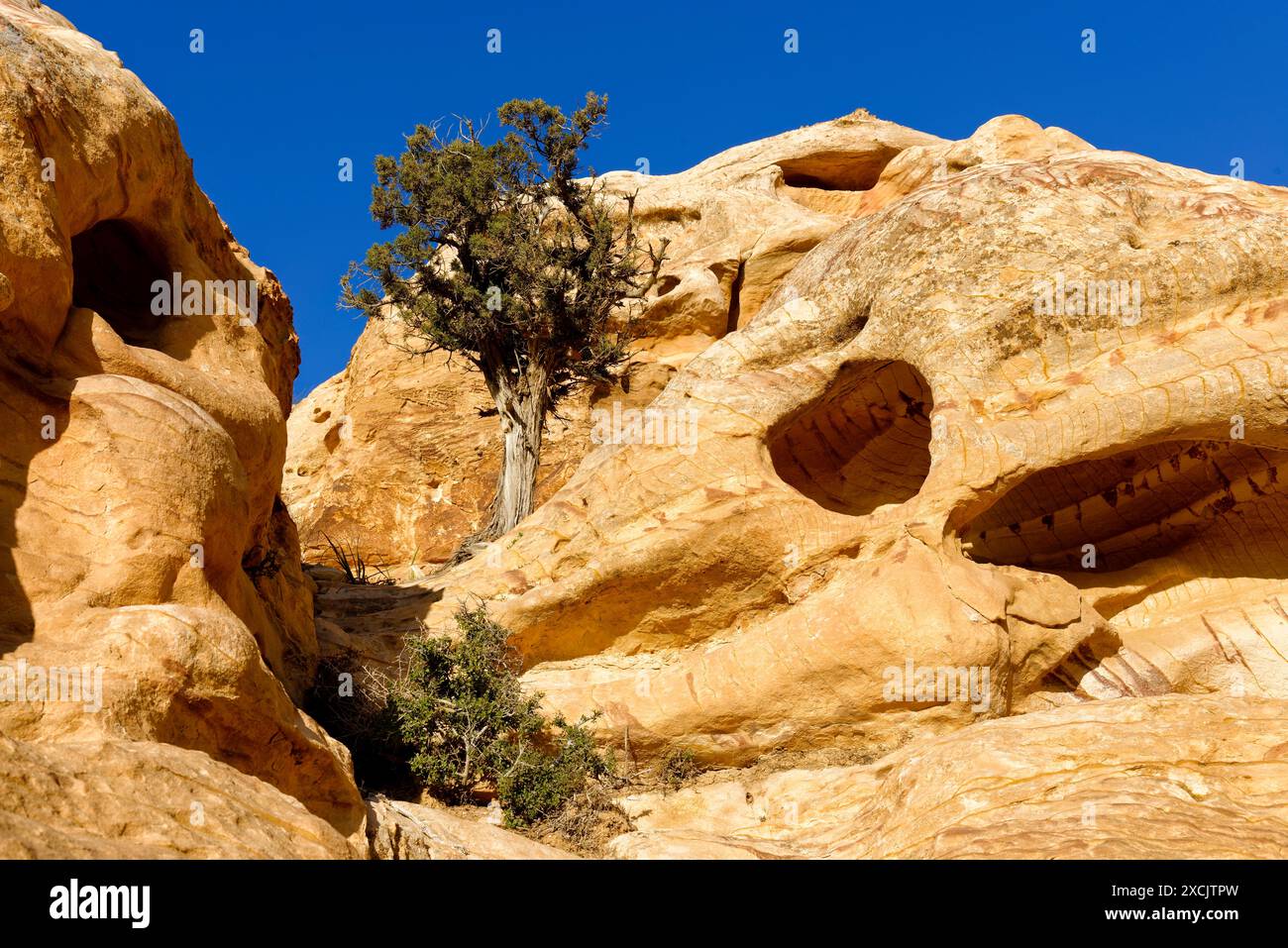 Jordan petra rock cave hi-res stock photography and images - Alamy