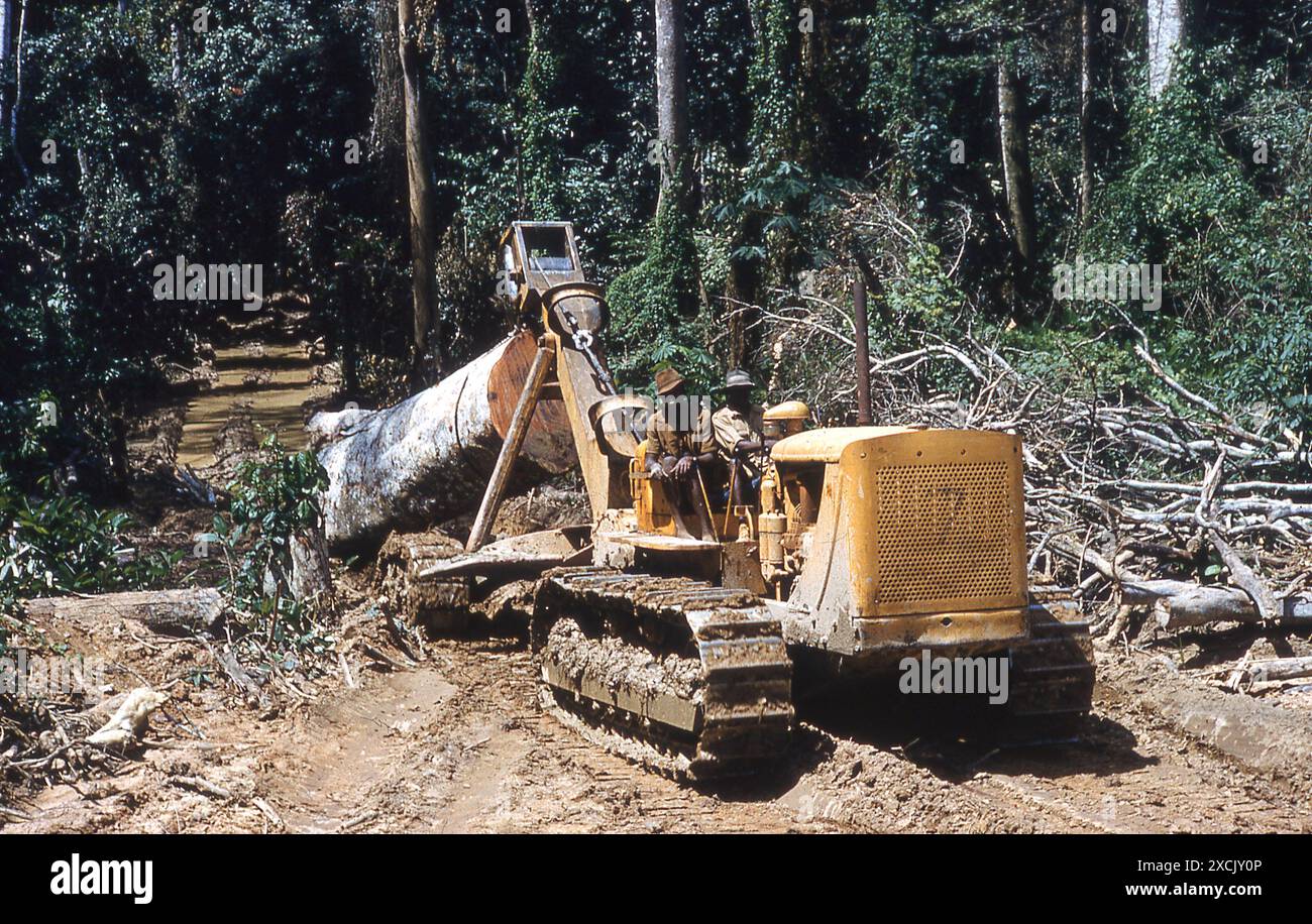 1960s, hisotrical, logging, timber being removed from a forest, Ghana ...