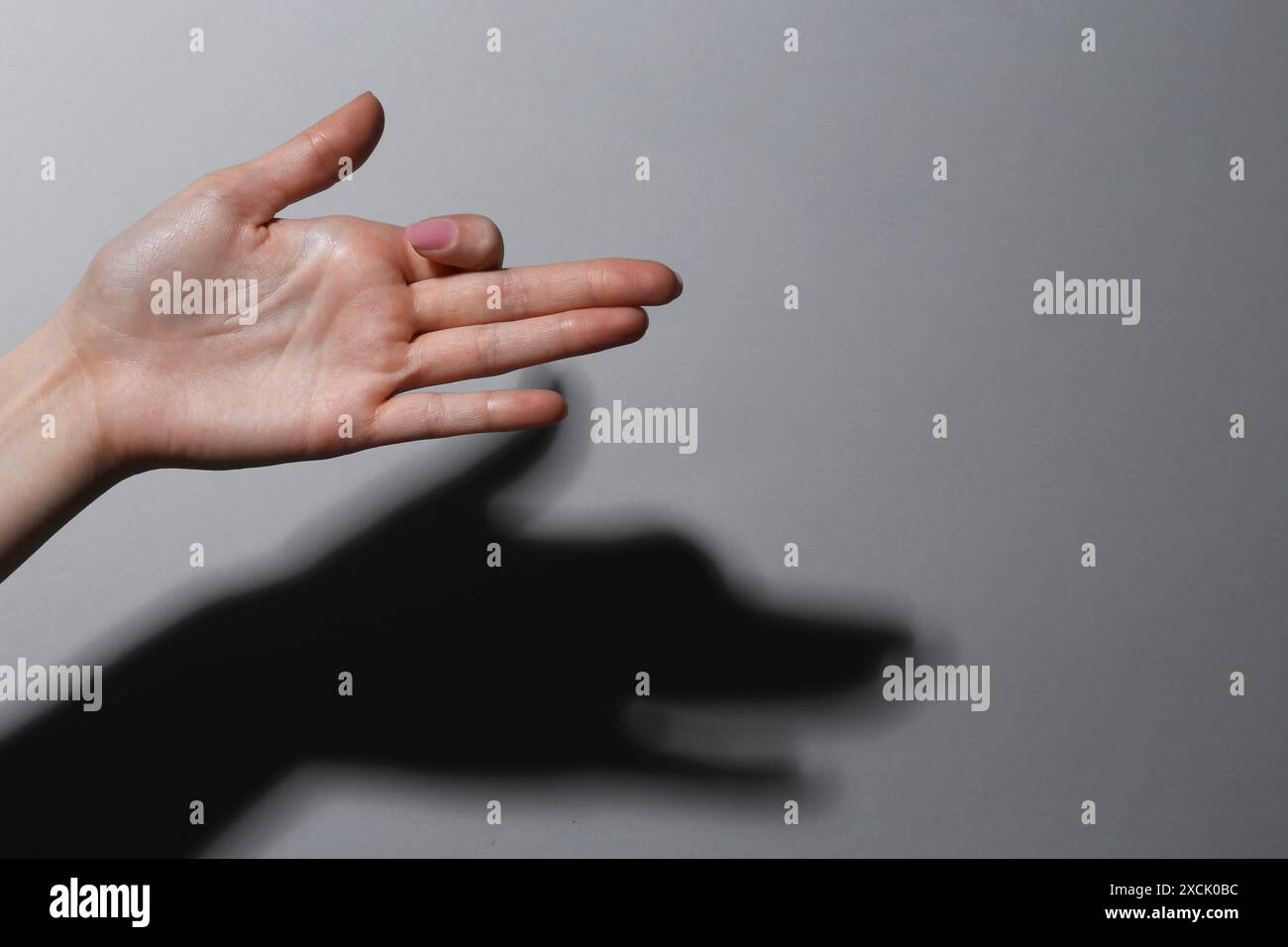 Hand shadow puppet dog hi-res stock photography and images - Alamy