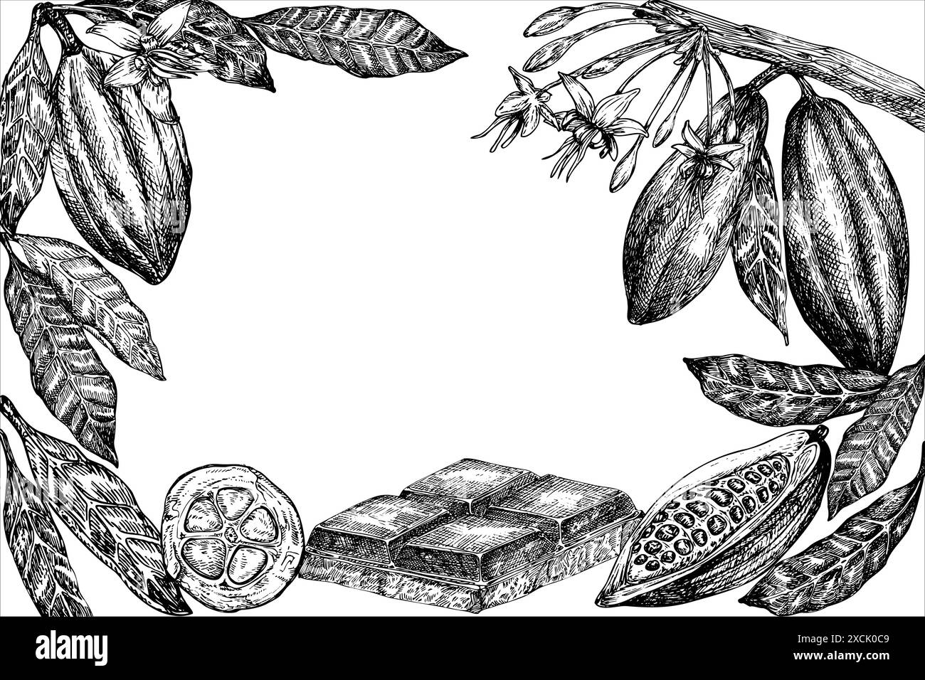 frame with cocoa fruit and chocolate graphic vector illustration, hand ...