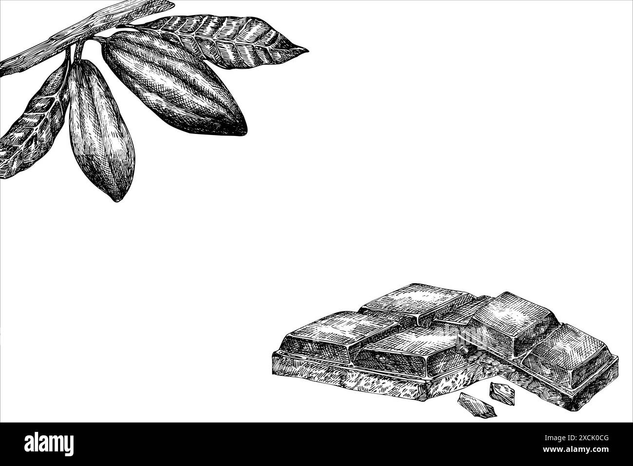 frame with cocoa fruit and chocolate graphic vector illustration, hand ...