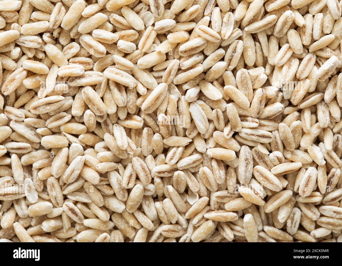 Dry raw organic healthy oat grain seeds textured background Stock Photo ...