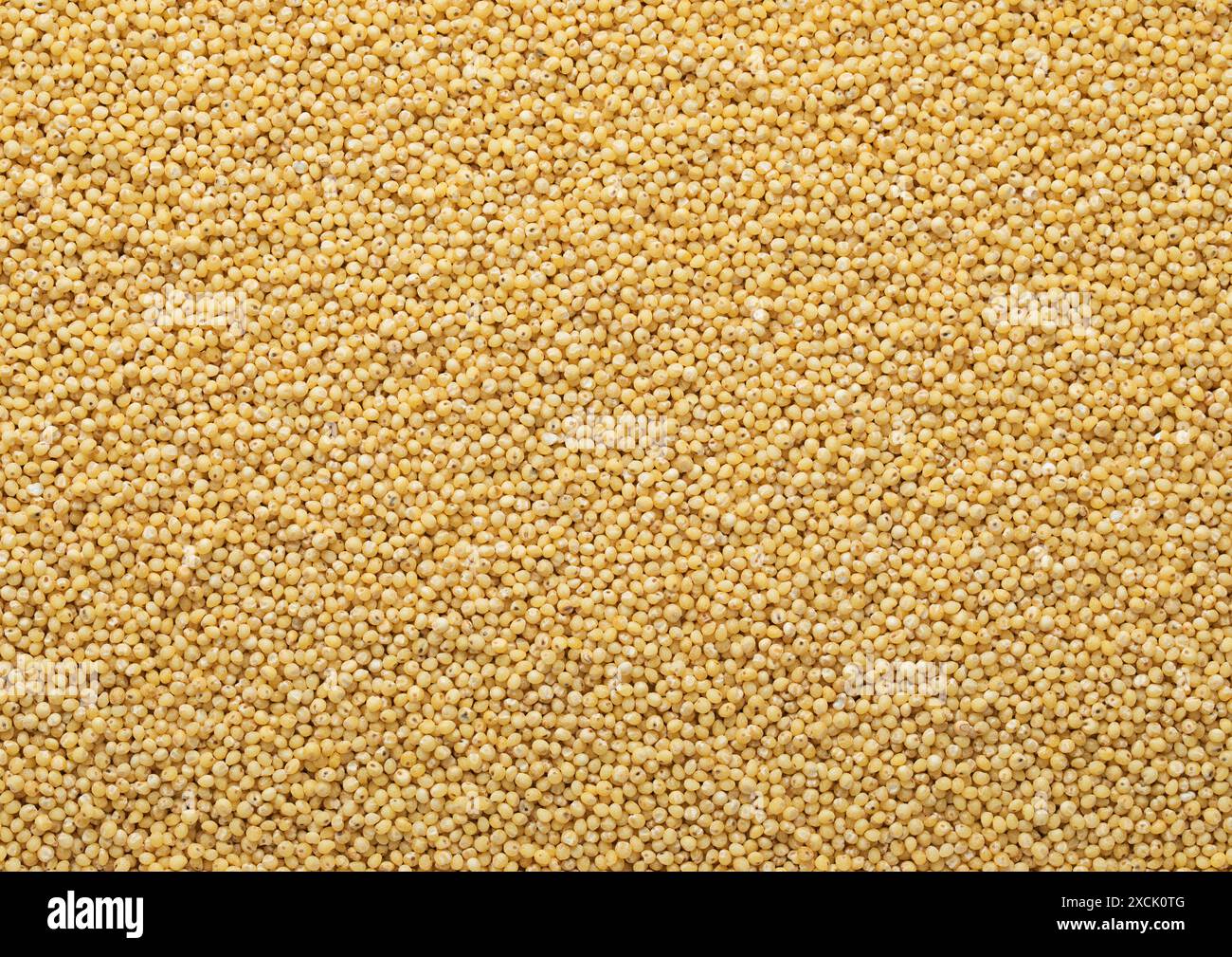 Yellow raw organic healthy millet grain seeds textured background Stock ...