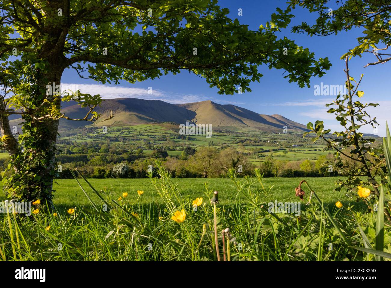 Glen of Aherlow, County Tipperary, Ireland Stock Photo - Alamy