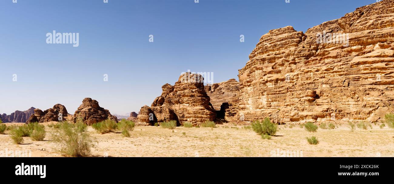 Bushes and steep buttes in Wadi Rum valley, Jordan Stock Photo - Alamy