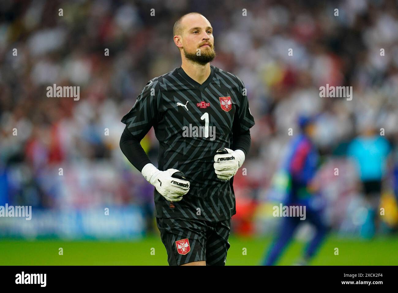 Pedrag Rajkovic of Serbia during the UEFA Euro 2024 match between ...