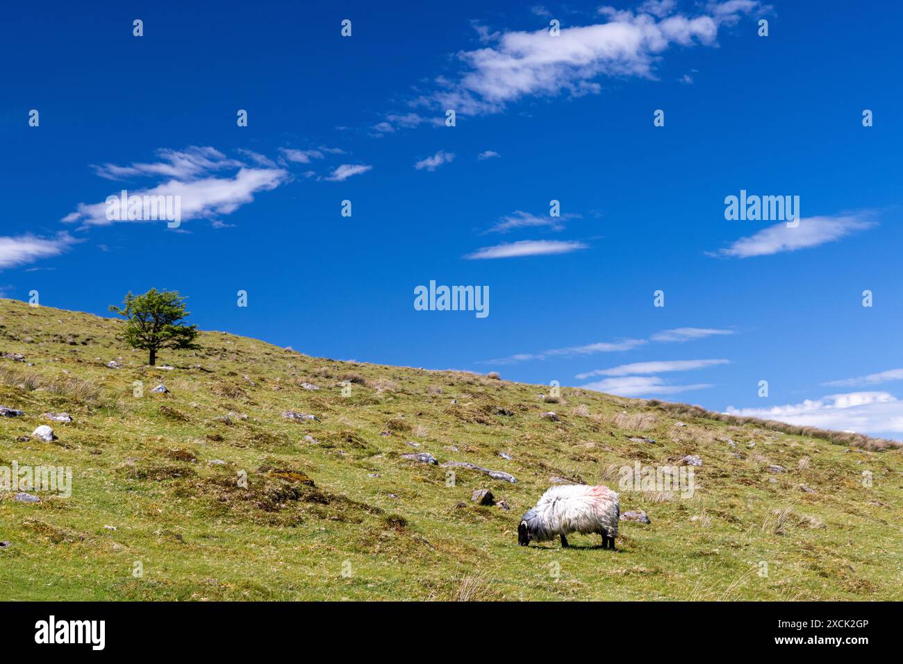 Drum leagh hi-res stock photography and images - Alamy