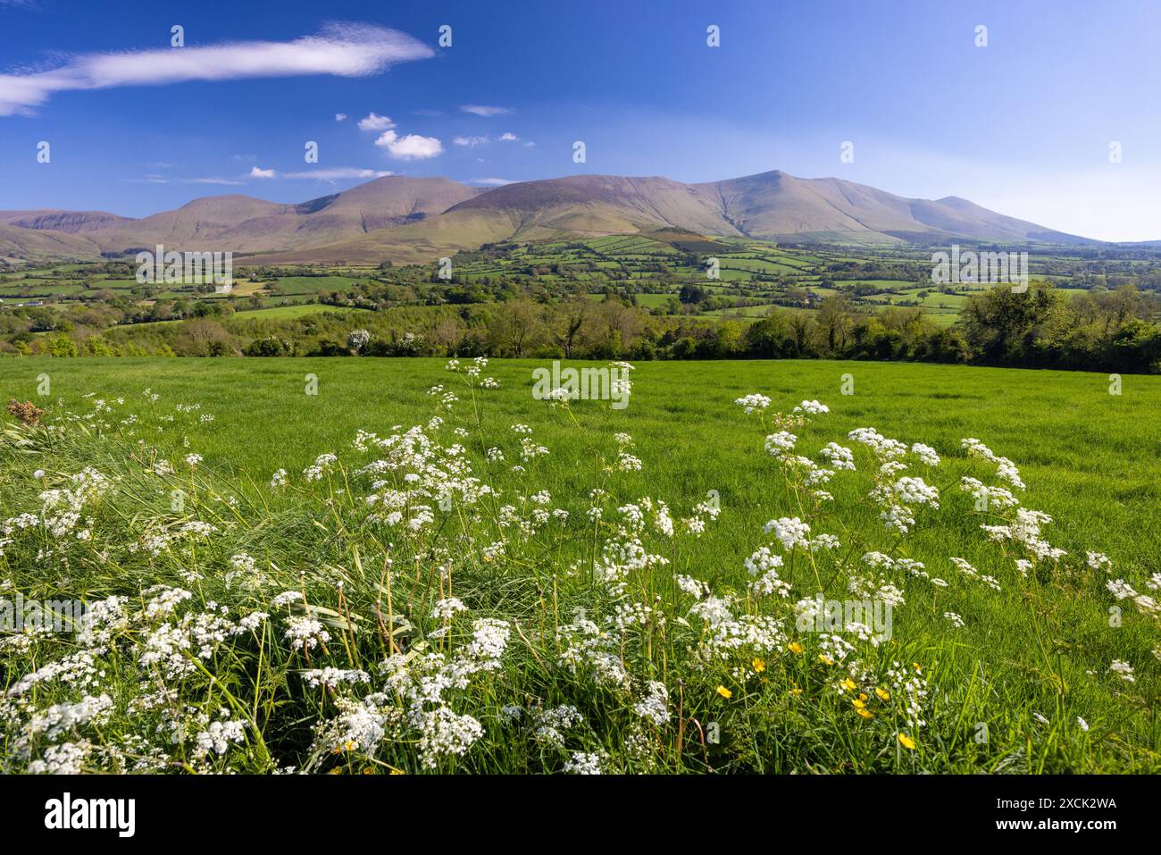 Glen of Aherlow, County Tipperary, Ireland Stock Photo - Alamy