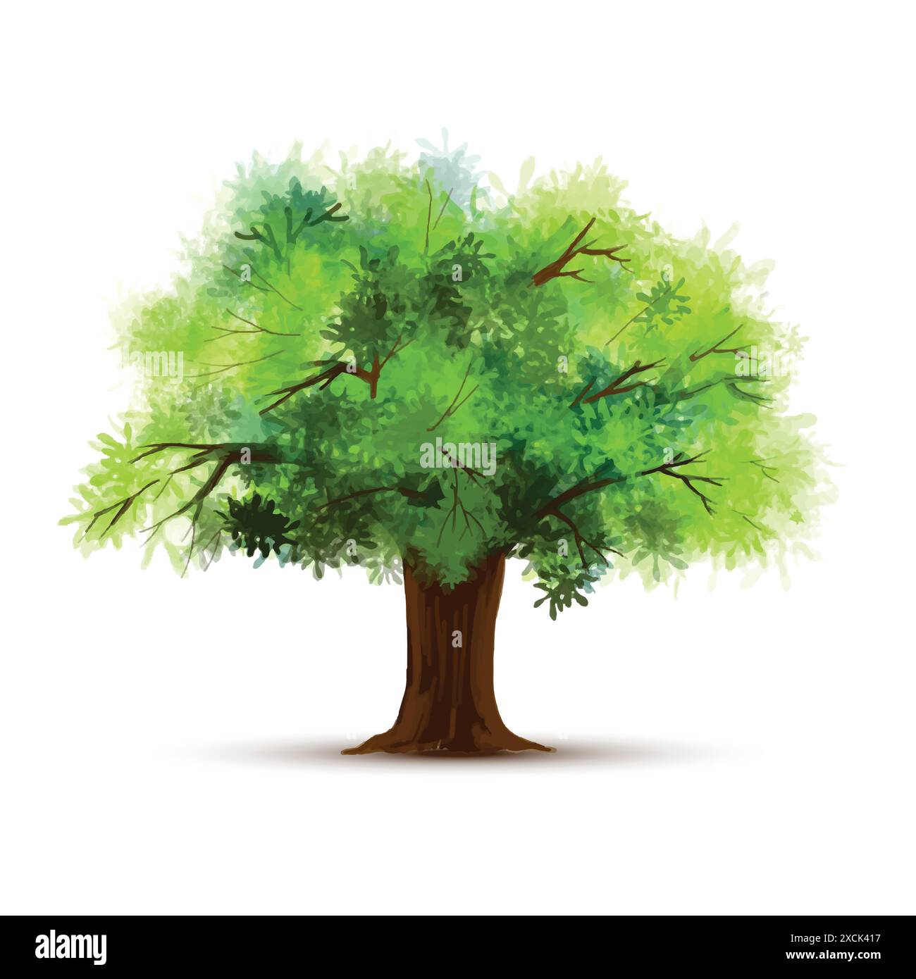Painting a green tree isolated design Stock Vector Image & Art - Alamy