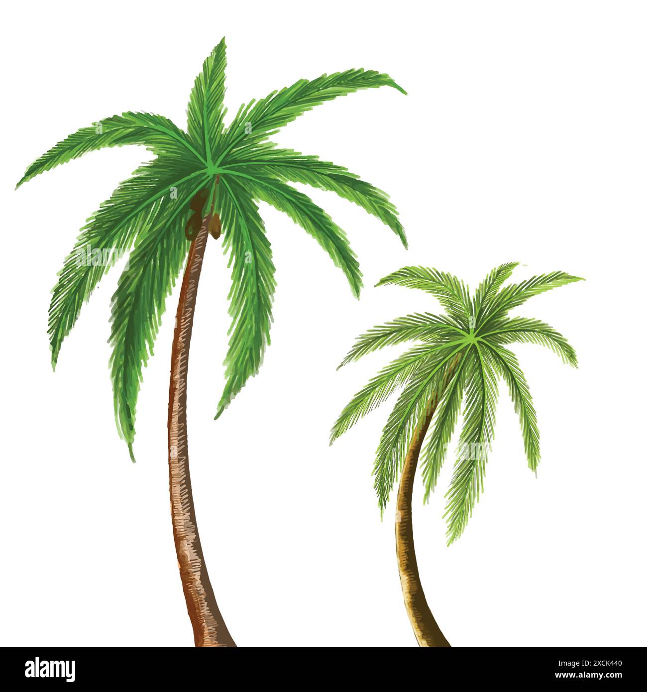 Beautiful silhouette palm trees Cut Out Stock Images & Pictures - Alamy