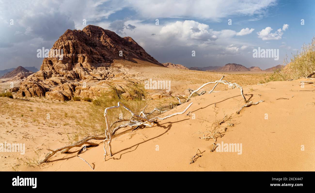 Storm clouds over Wadi Rum valley, Jordan Stock Photo - Alamy