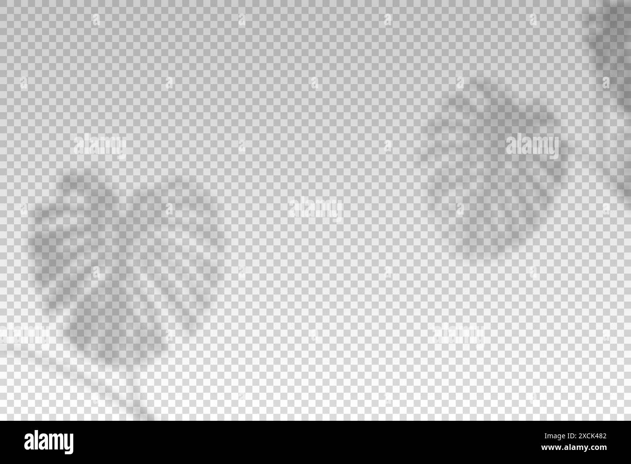 Shadow of leaf from window. Shadows palm leave isolated on transparent ...