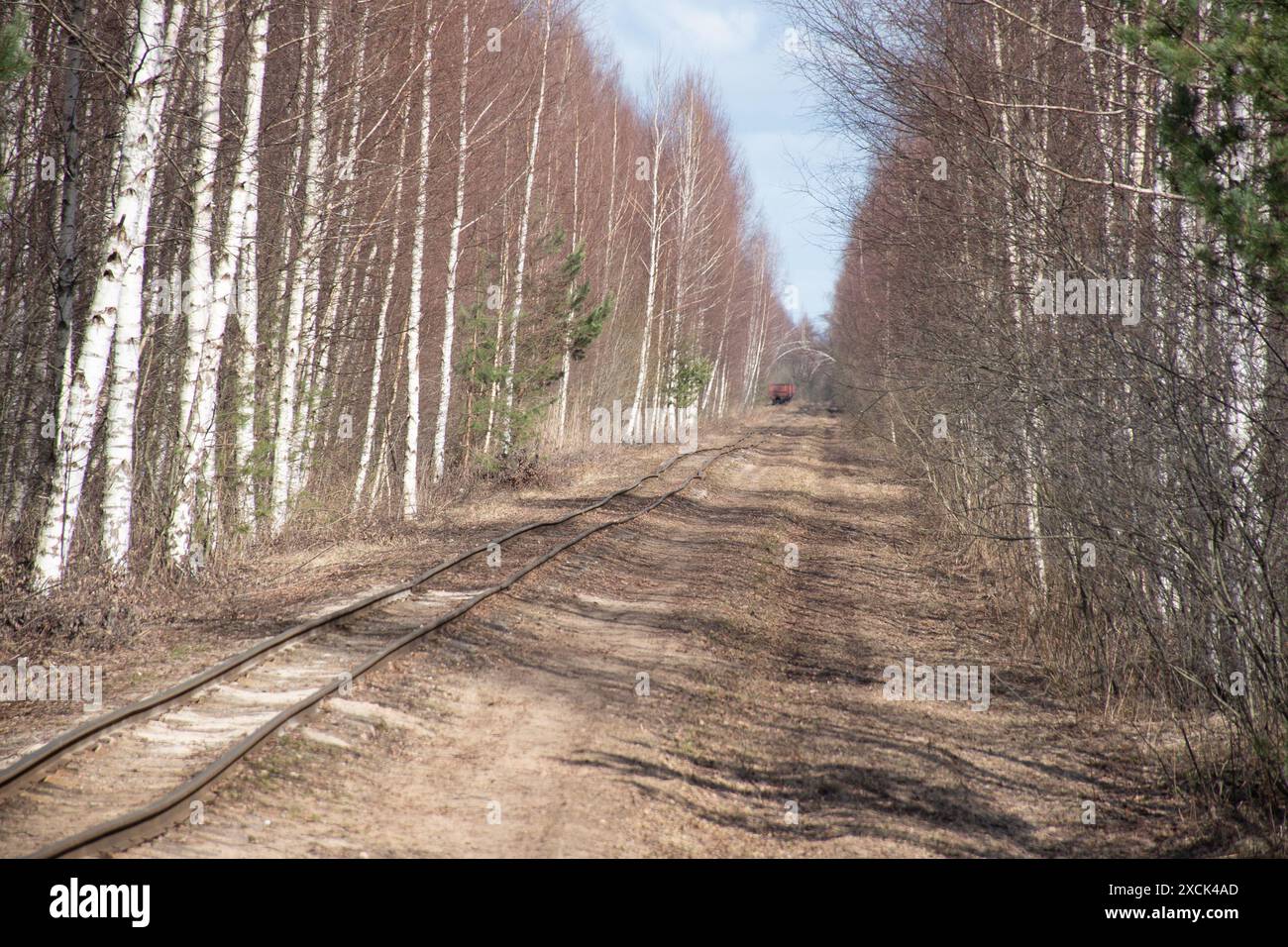 spring landscape with muddy swamp, forest road, spring, dirty wet road ...