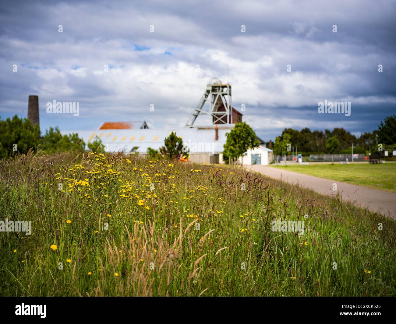 HEARTLANDS POOL CAMBORNE WORLD HERITAGE SITE MINING ENGINE HOUSE Stock ...