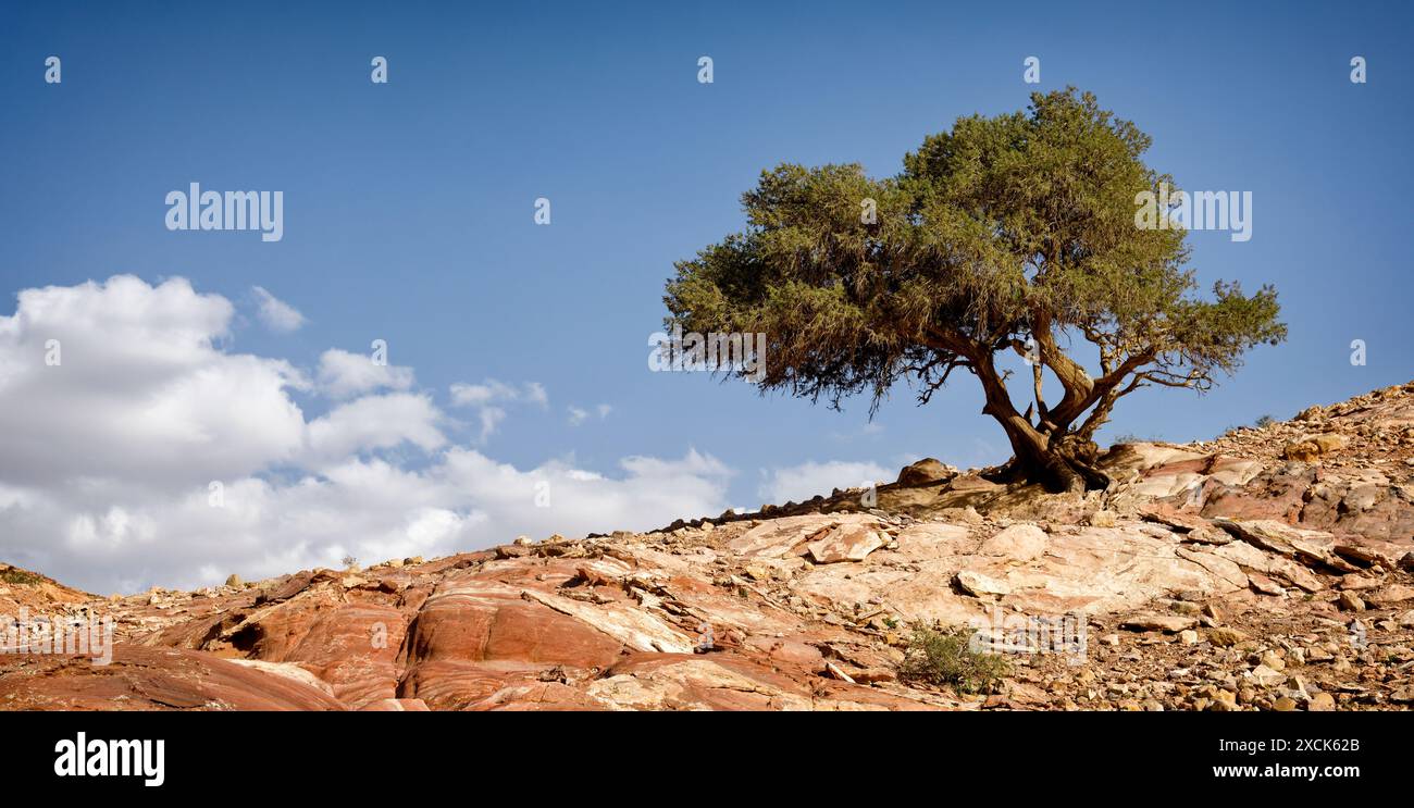 Wadi rum reserve hi-res stock photography and images - Alamy