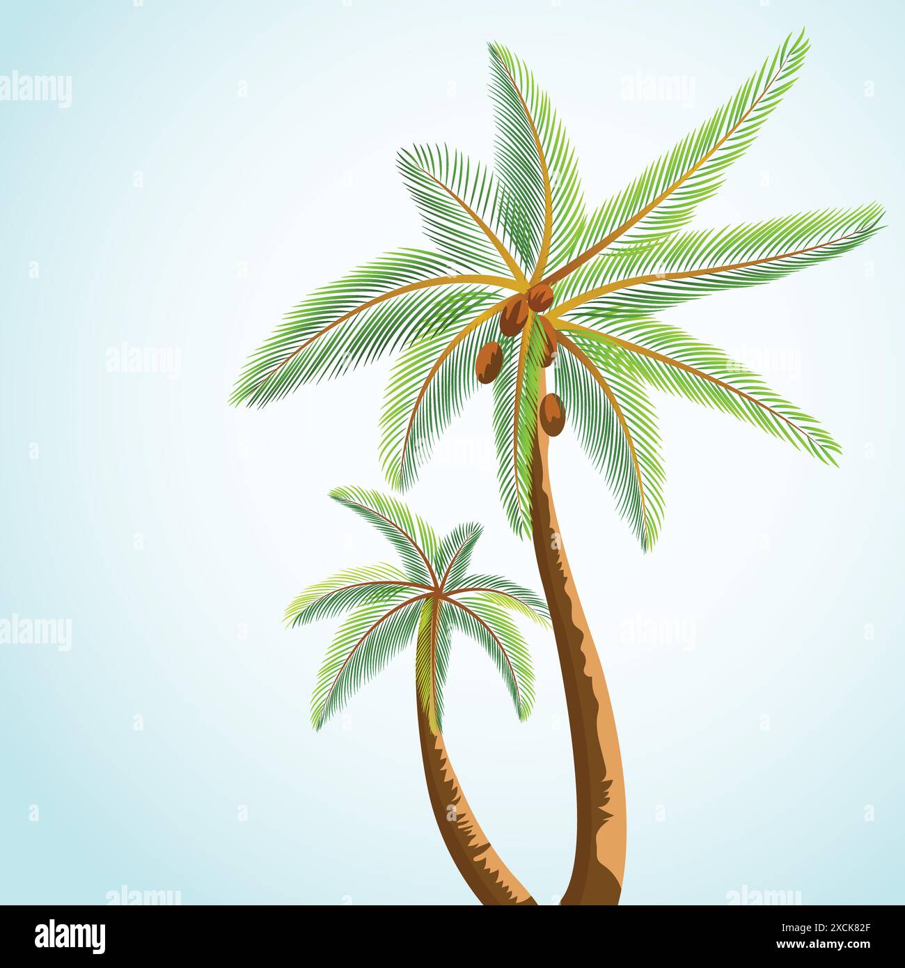 Beautiful green coconut tree leaf design Stock Vector Image & Art - Alamy