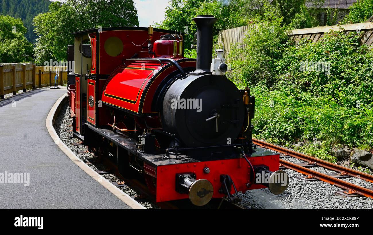 Corris railway in wales hi-res stock photography and images - Alamy