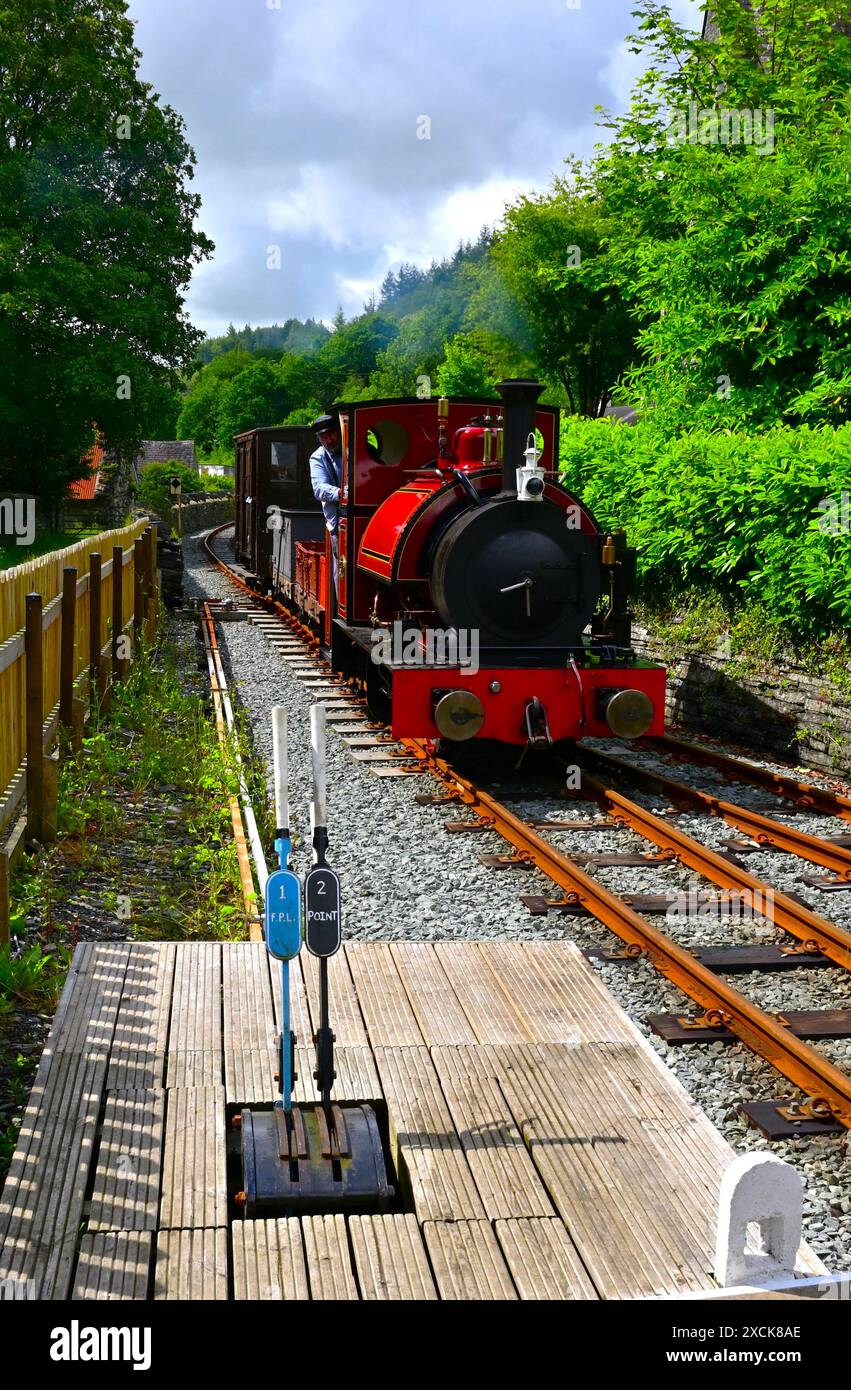 Falcon steam engine hi-res stock photography and images - Alamy