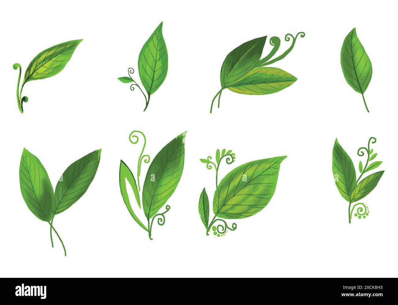 Beautiful realistic plants green leaf set design Stock Vector Image ...