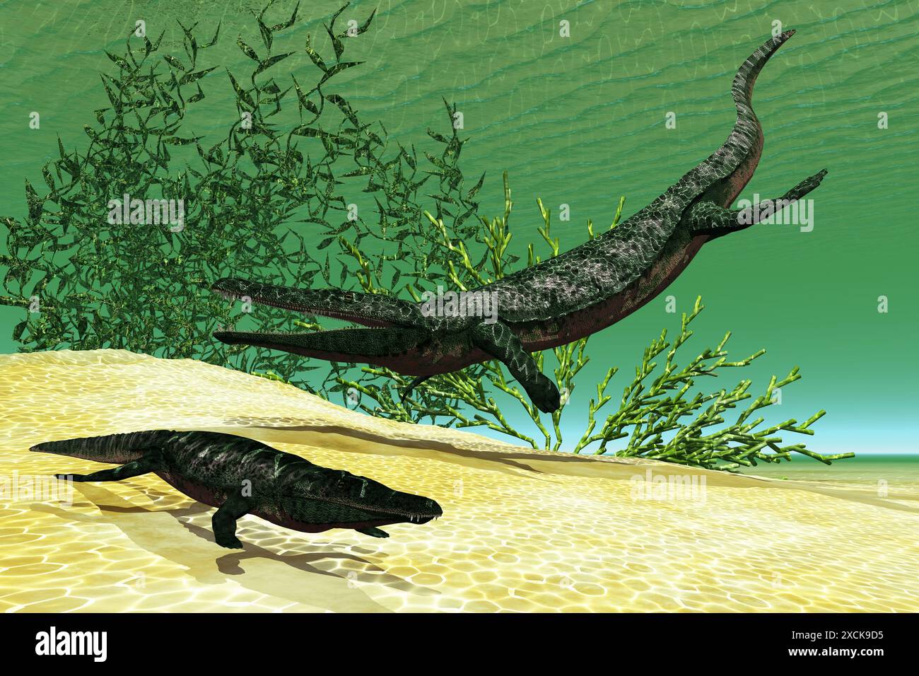 Permian swamp hi-res stock photography and images - Alamy