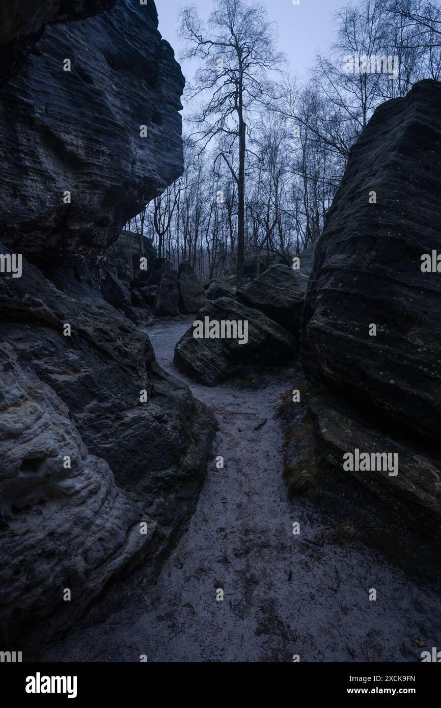 Gloomy and totally moody path lost in the foggy rocks with the best ...